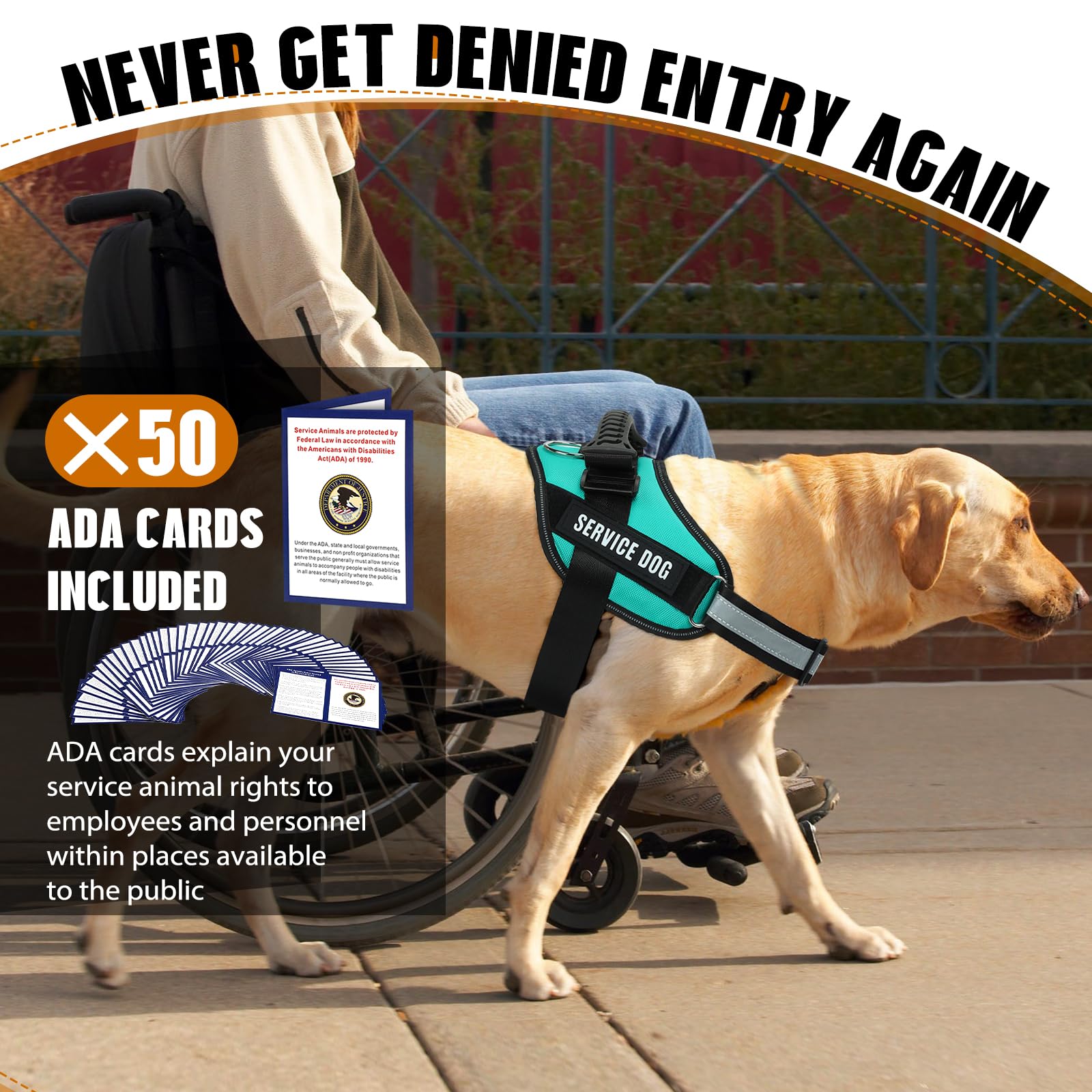 Snapklik.com : Service Dog Vest Harness + 50 ADA Information Cards + 4 ...