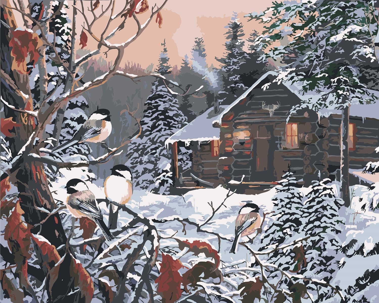 Amazon.com: Ledgebay Paint by Number for Adults: Beginner to Advanced ...