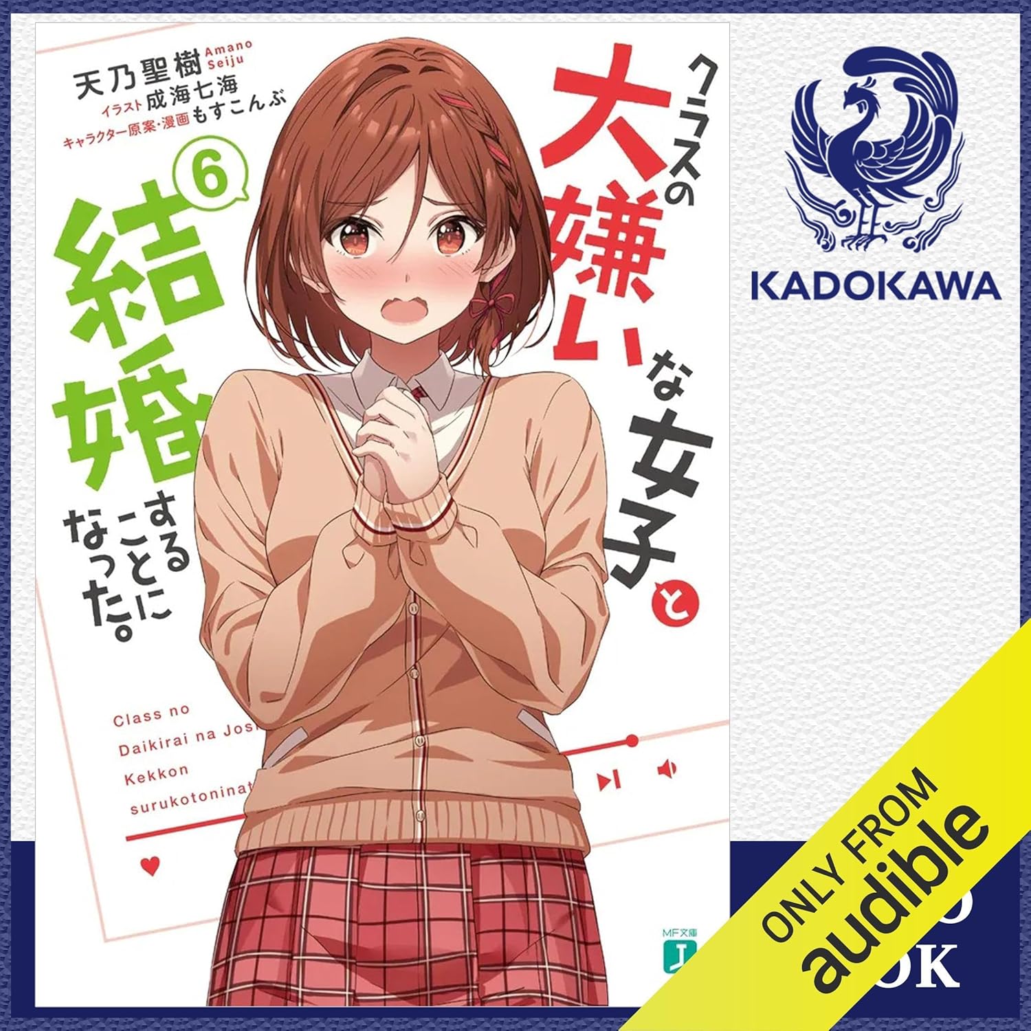 このビデオを見るには、次をダウンロード Flash Player