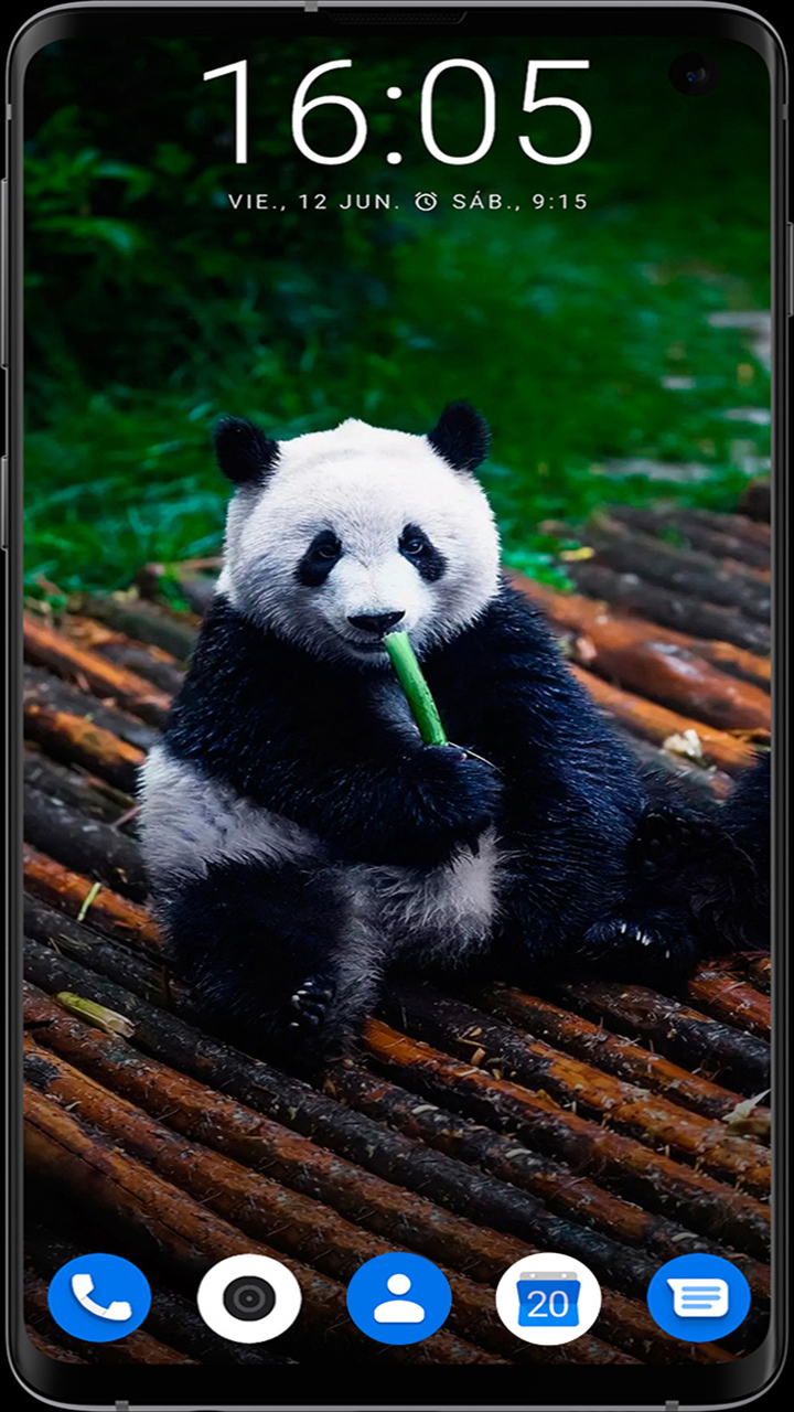 Animals Wallpapers - App on Amazon Appstore