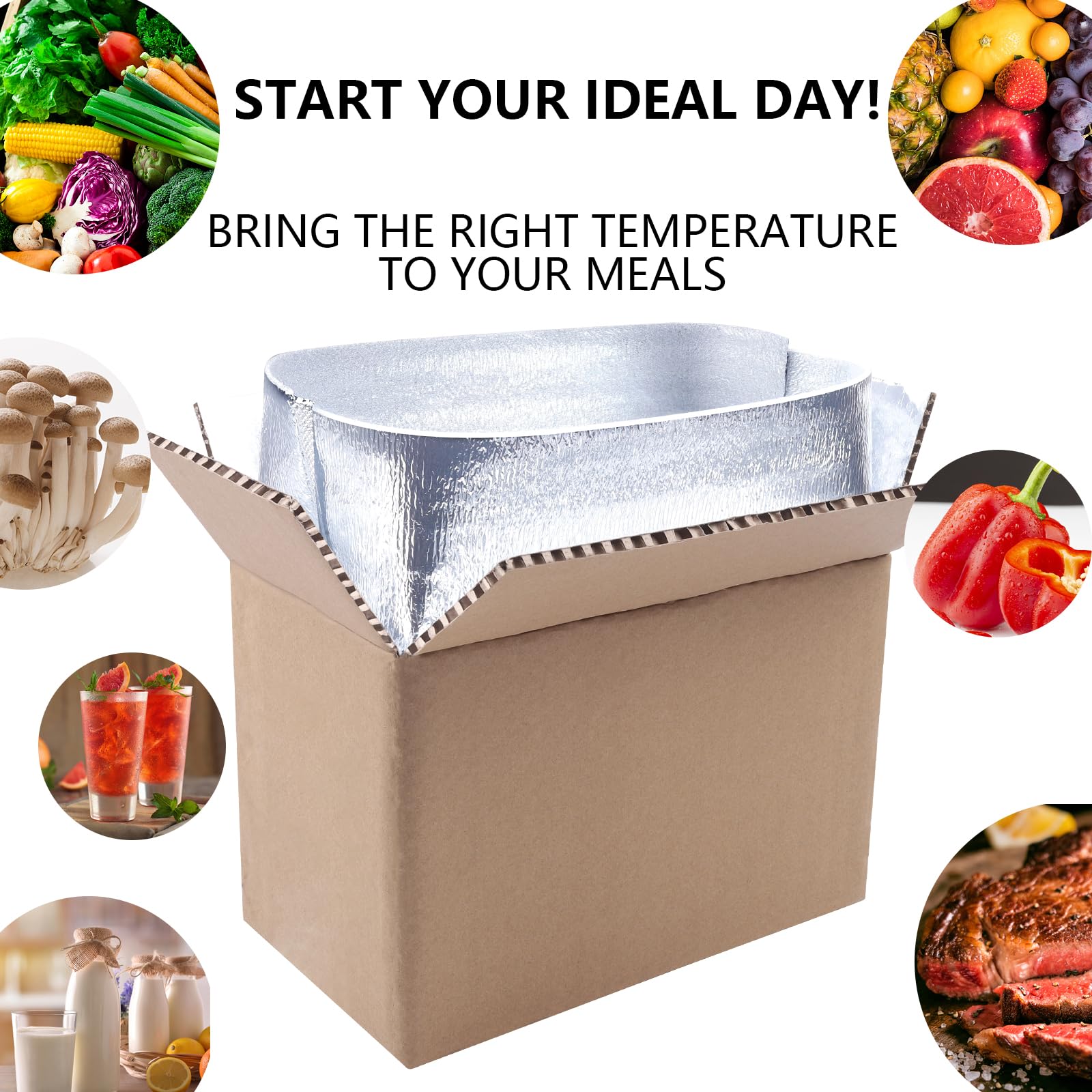 6 Pack Insulated Shipping Boxes with Aluminum Foil Insulated Bag??îfor ...