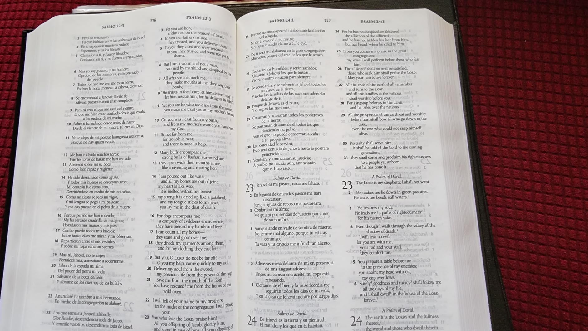ESV Spanish/English Parallel Bible (La Santa Biblia RVR / The Holy ...