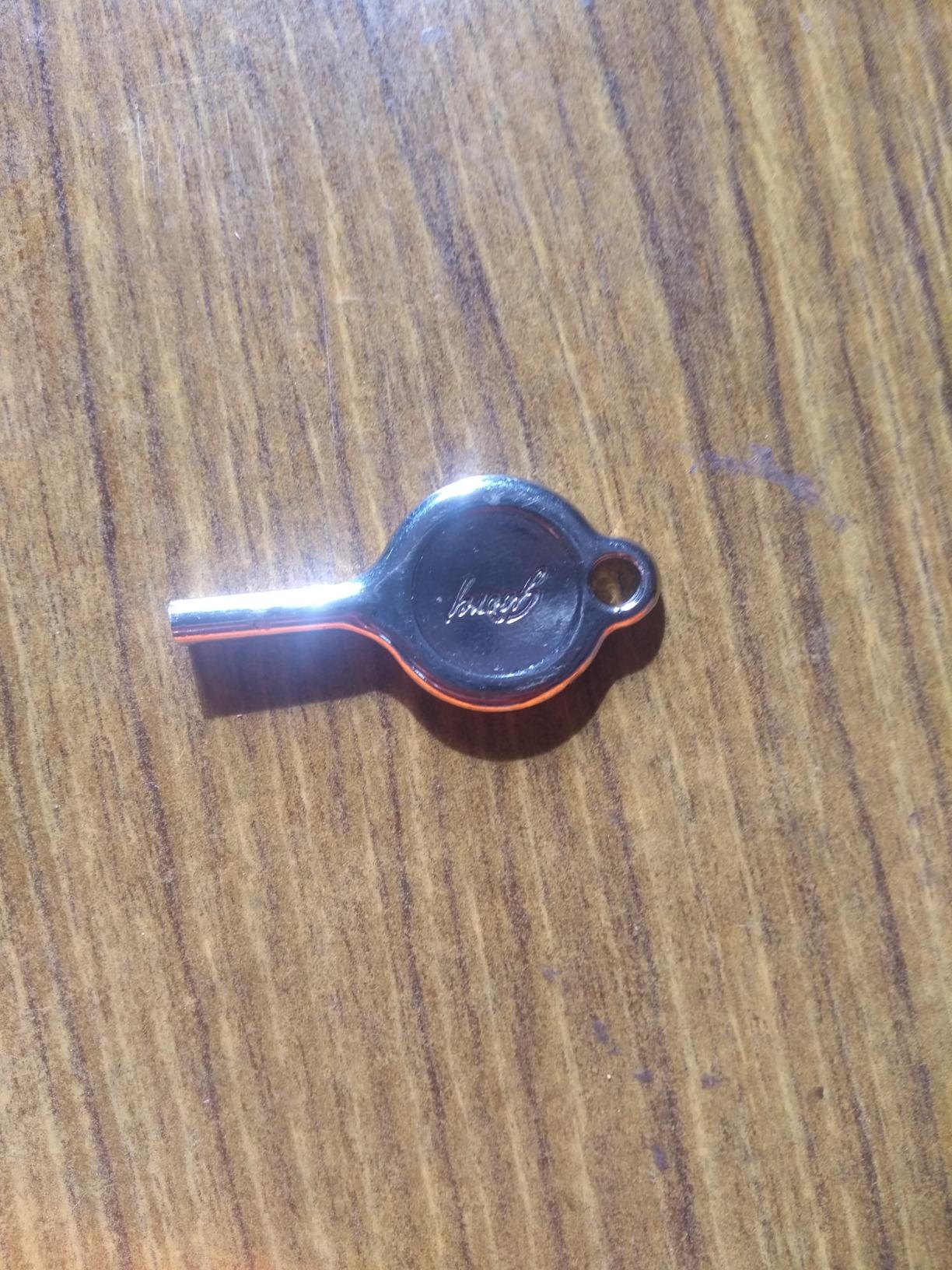 Godrej 6602 Key Padlock (Silver, Polished Finish) : Amazon.in: Home ...