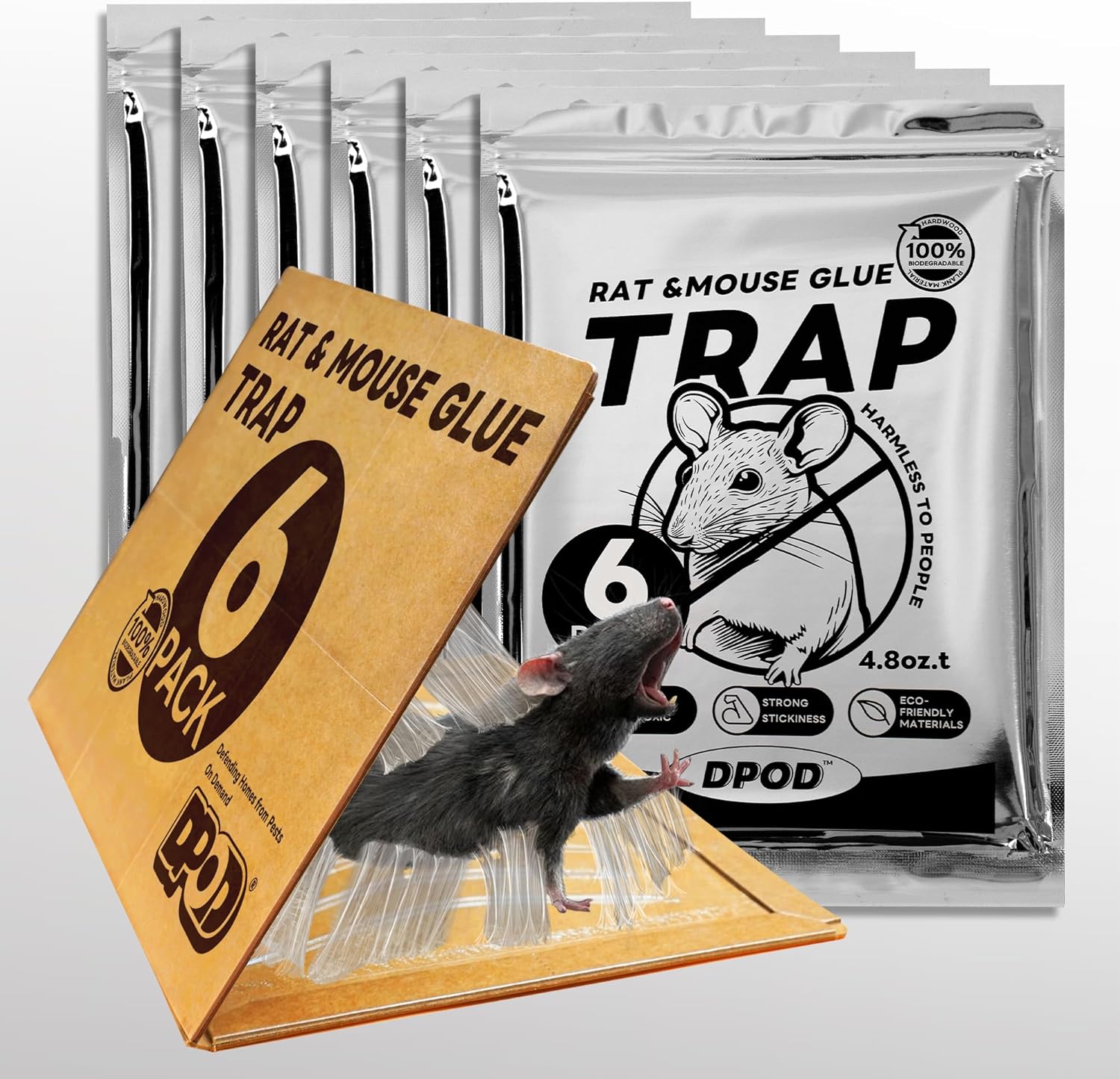 Amazon.com : Glue Mouse Traps Indoor for Home 6 Pack, Large Sticky ...