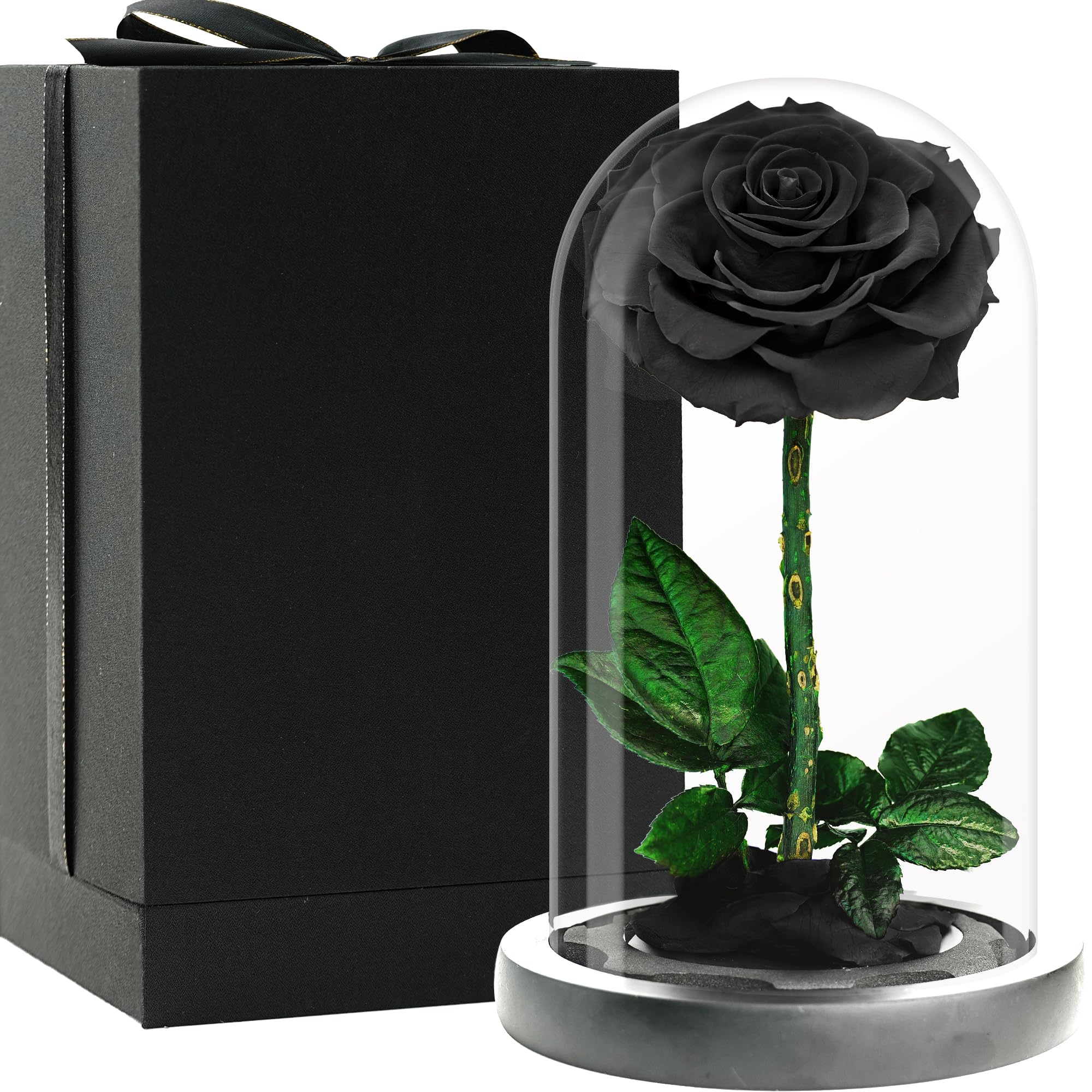 Amazon.com: YFYS Marvelous Eternally Preserved Rose – Immaculate Single ...