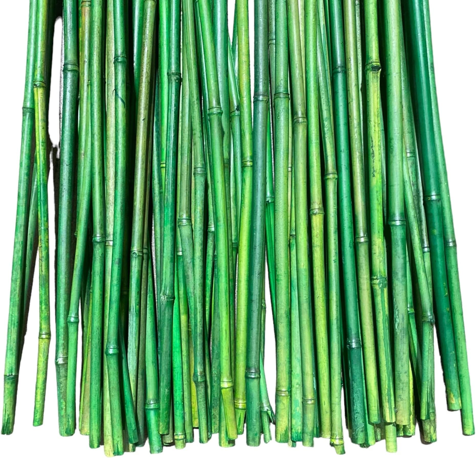 Amazon.com : 5 ft Tall All-Natural Thick Bamboo Poles - (1/2 in Wide ...