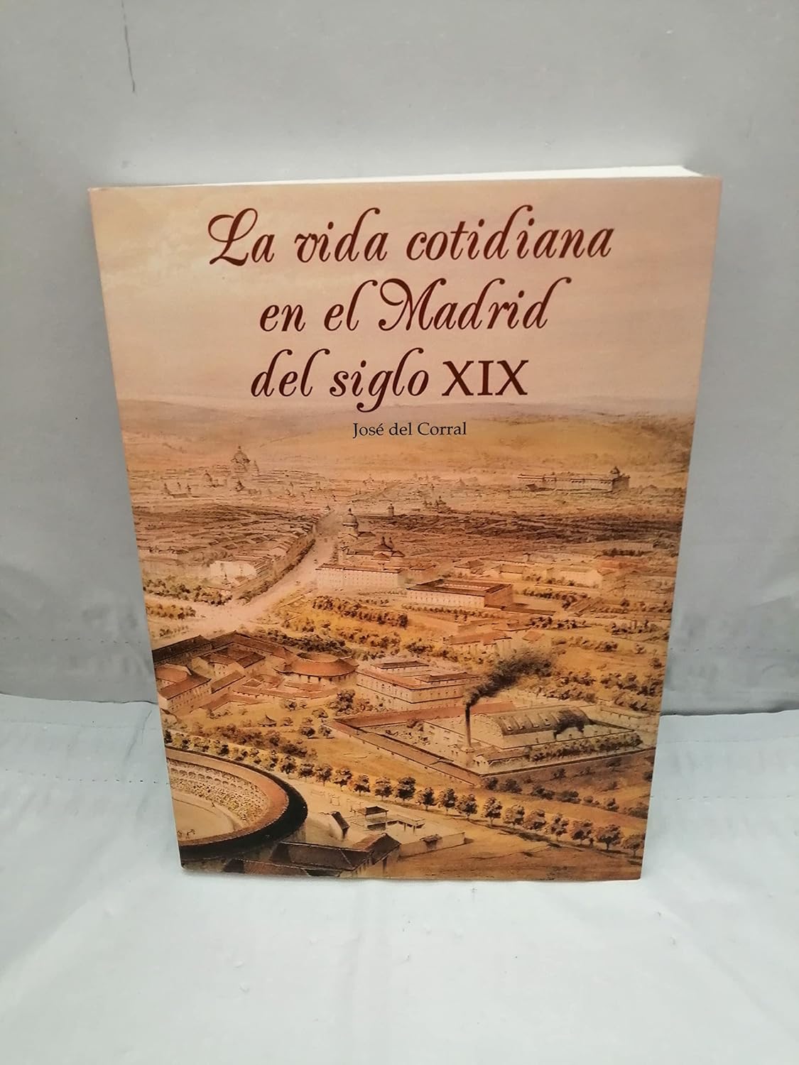 La vida cotidiana en el Madrid del siglo XIX (Spanish Edition) : Corral ...