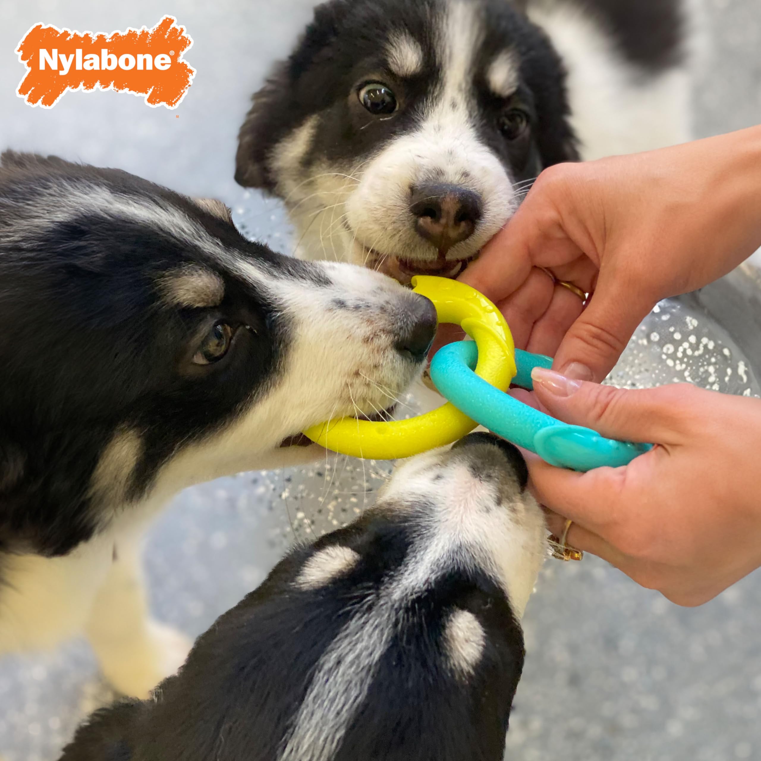 Snapklik.com : Nylabone Power Play Puppy Tug-a-Ball - Puppy Tug Toy ...