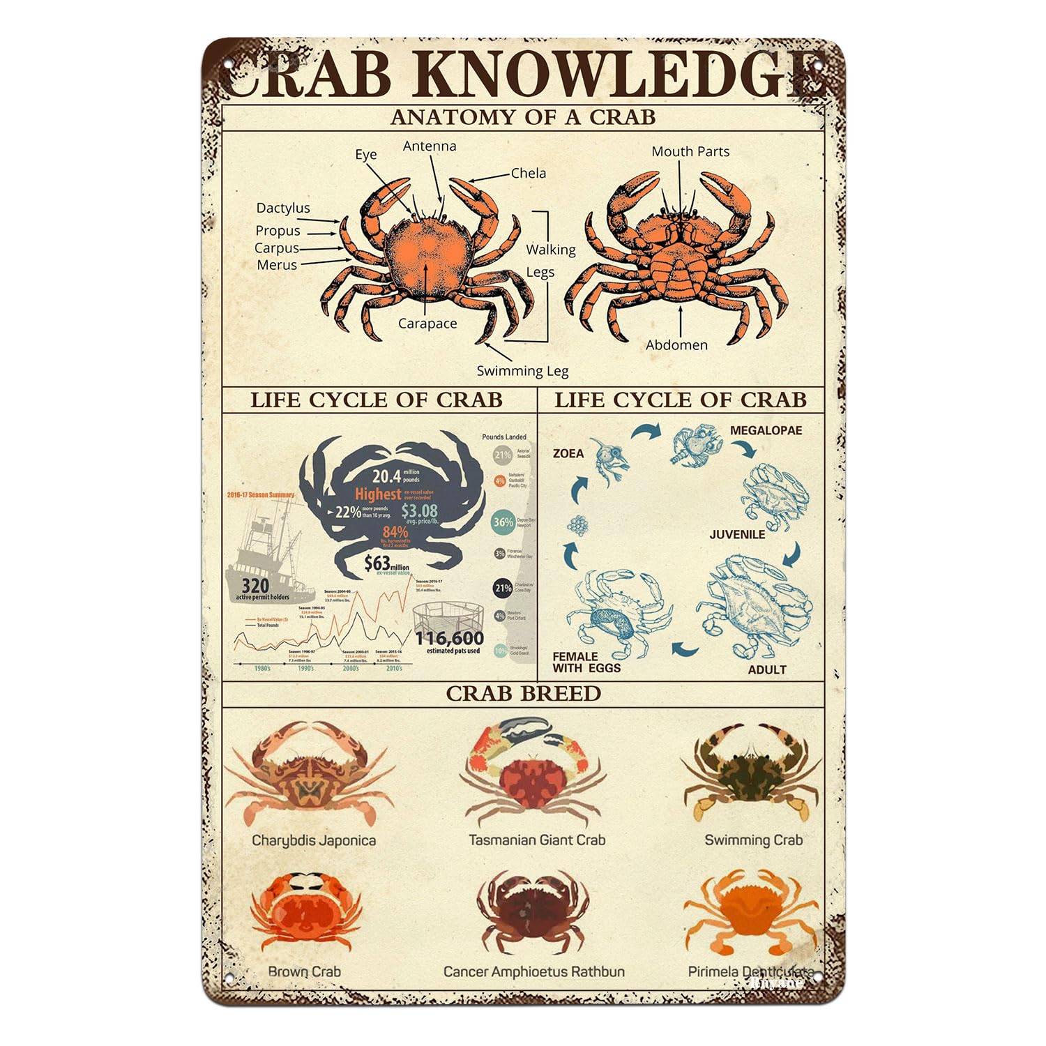 Amazon.com: Crab Knowledge Tin Sign Funny Metal Sign Vintage Home ...