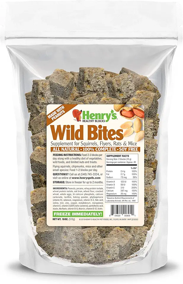 Feeding Tips And Guidelines For Flying Squirrels | PetShun