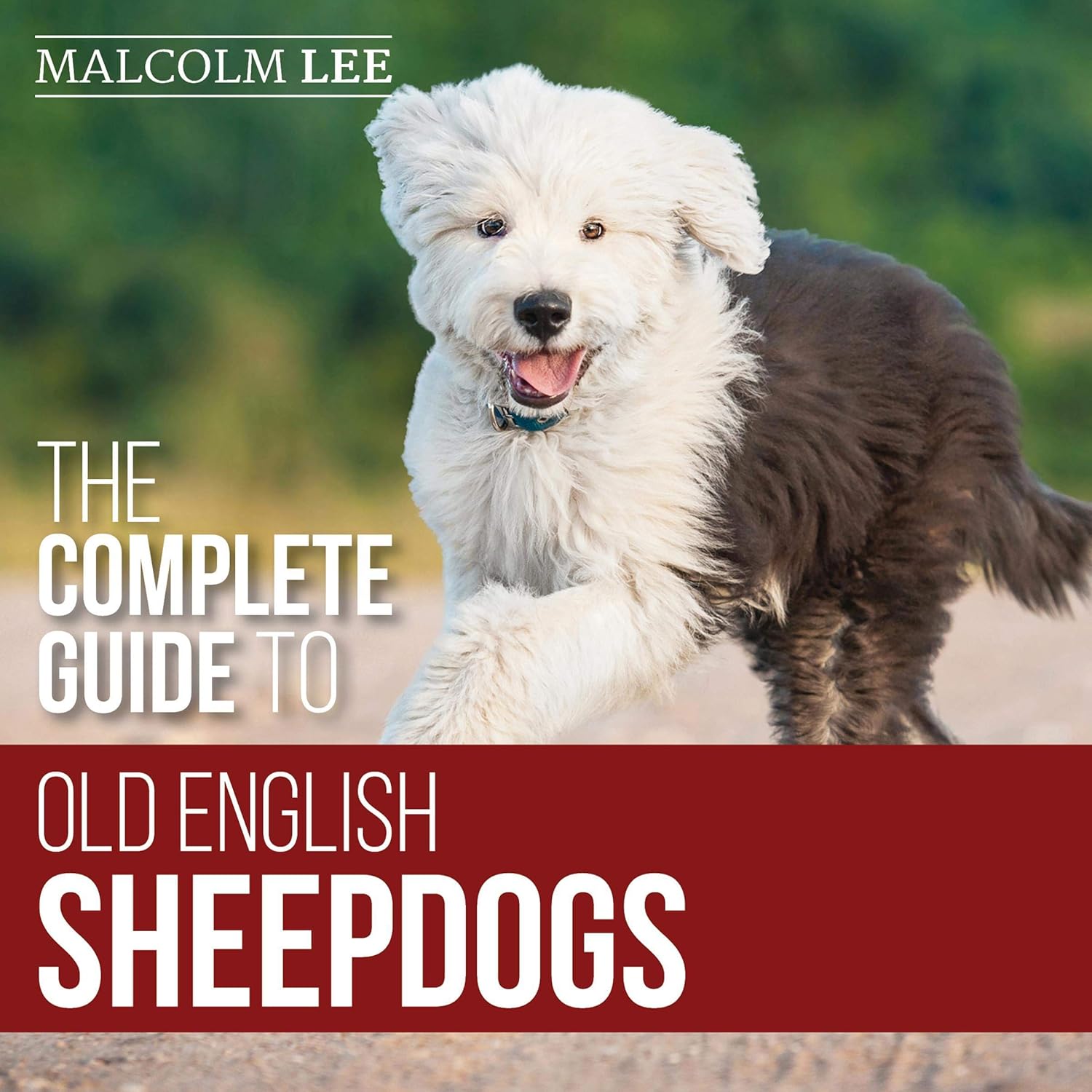 Amazon.com: The Complete Guide to Old English Sheepdogs: Finding ...