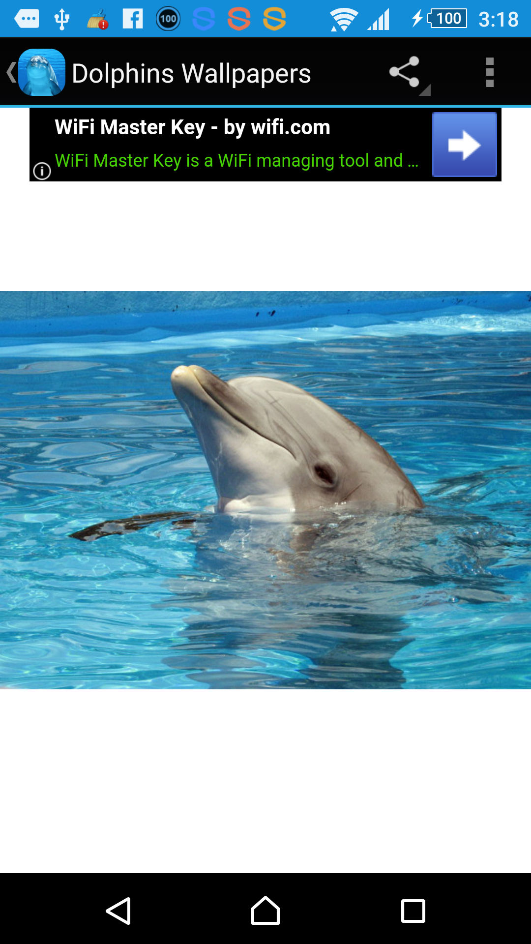 Dolphins Wallpapers - Aplicativo na Amazon Appstore