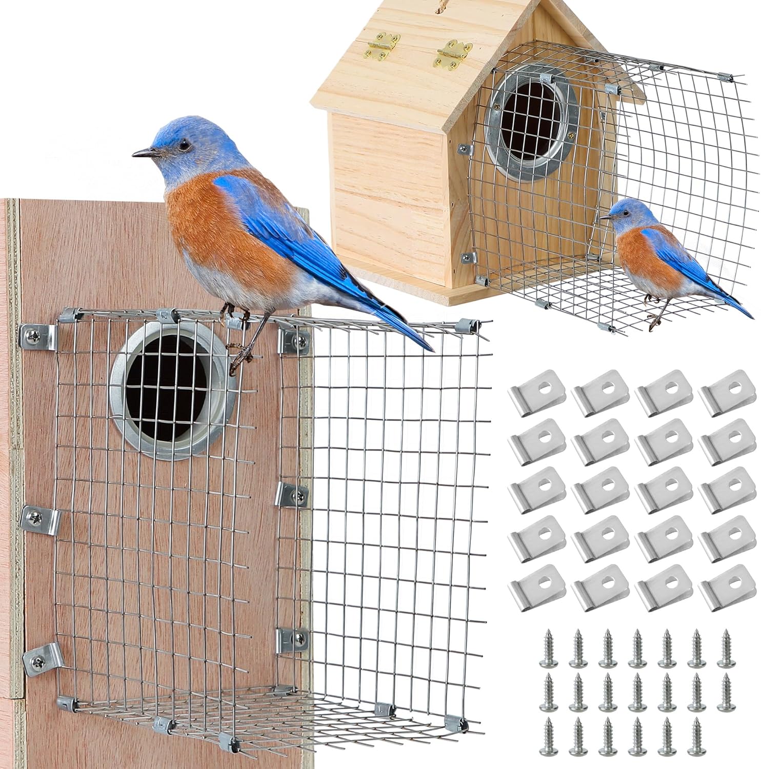 Amazon.com : Atvkov 2 Pcs Bluebird House Predator Guards, Stainless ...