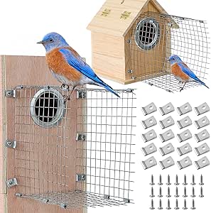 Amazon.com : Atvkov 2 Pcs Bluebird House Predator Guards, Stainless ...