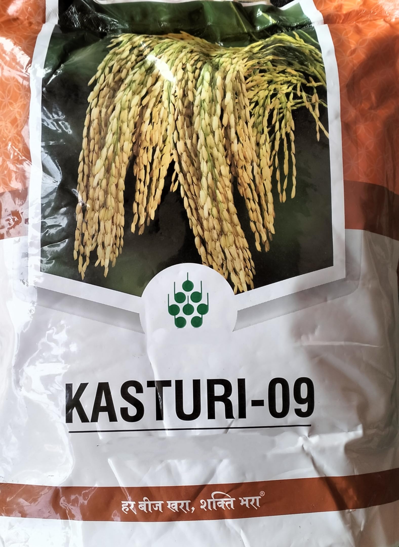 Organic Basmati Paddy Seeds, 1 kg, High Yield, Suitable for All Soil ...