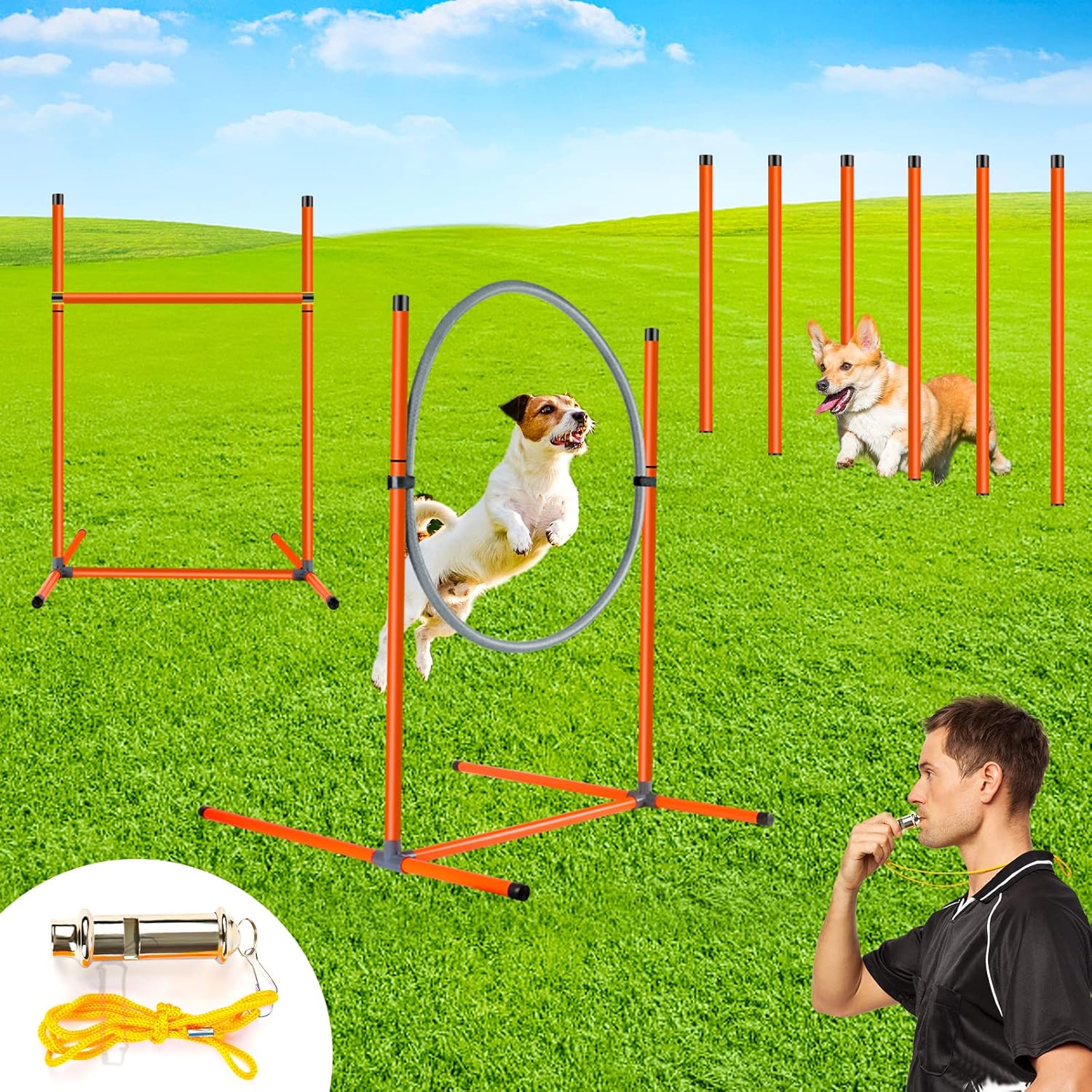 Aystkniet Hunde Agility Set Trainingsset für Hunde Mit 60cm Groß ...