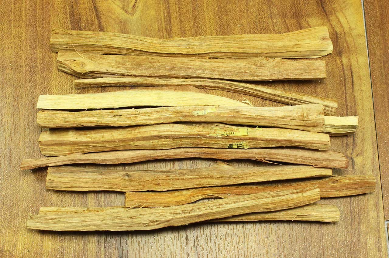 Buy Pmw ? Ficus Religiosa Raavi Peepal Arasam Pala Buddha Sacred Tree ...