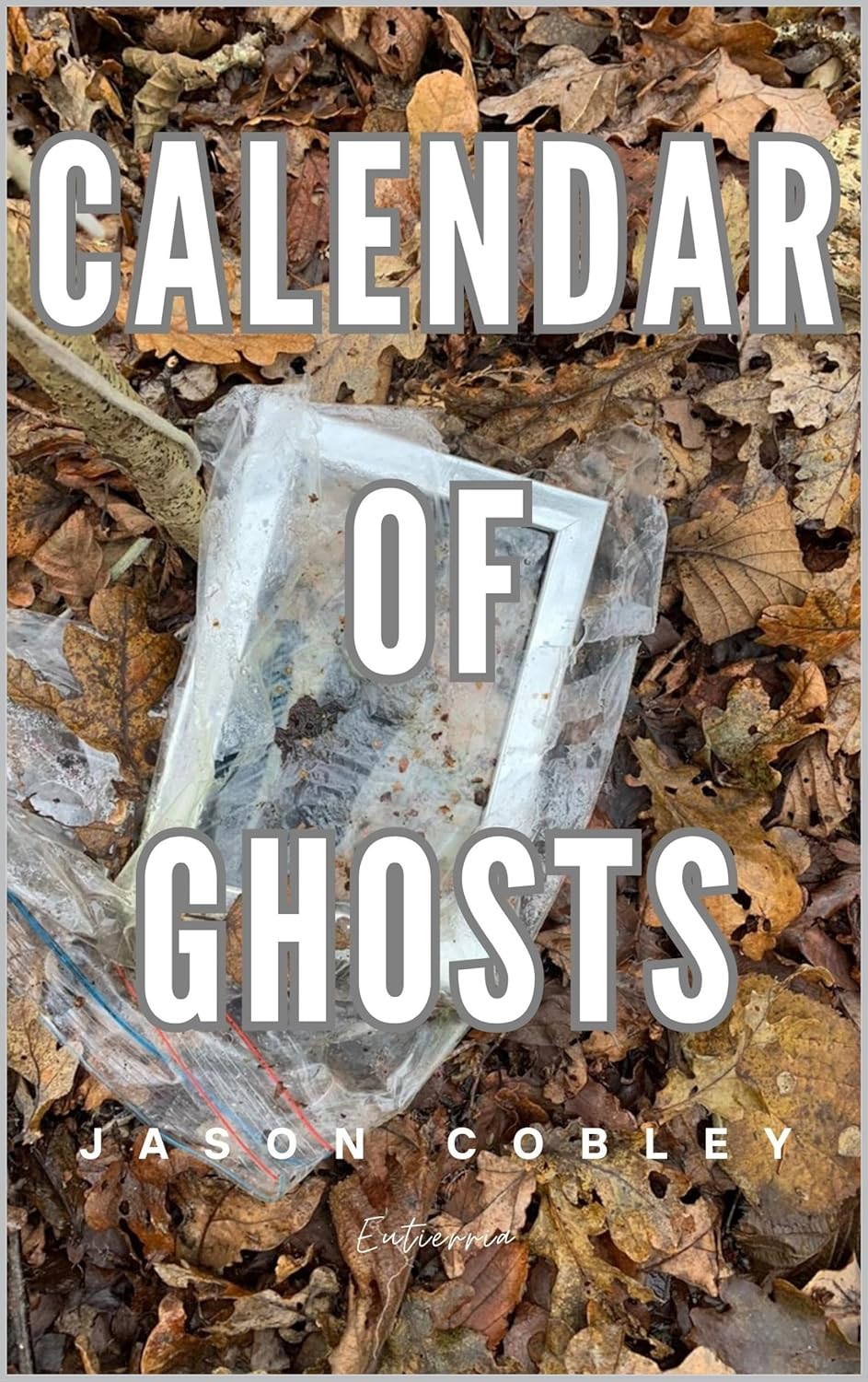 Calendar of Ghosts (The Calendar of Ghosts Series Book 1) eBook ...