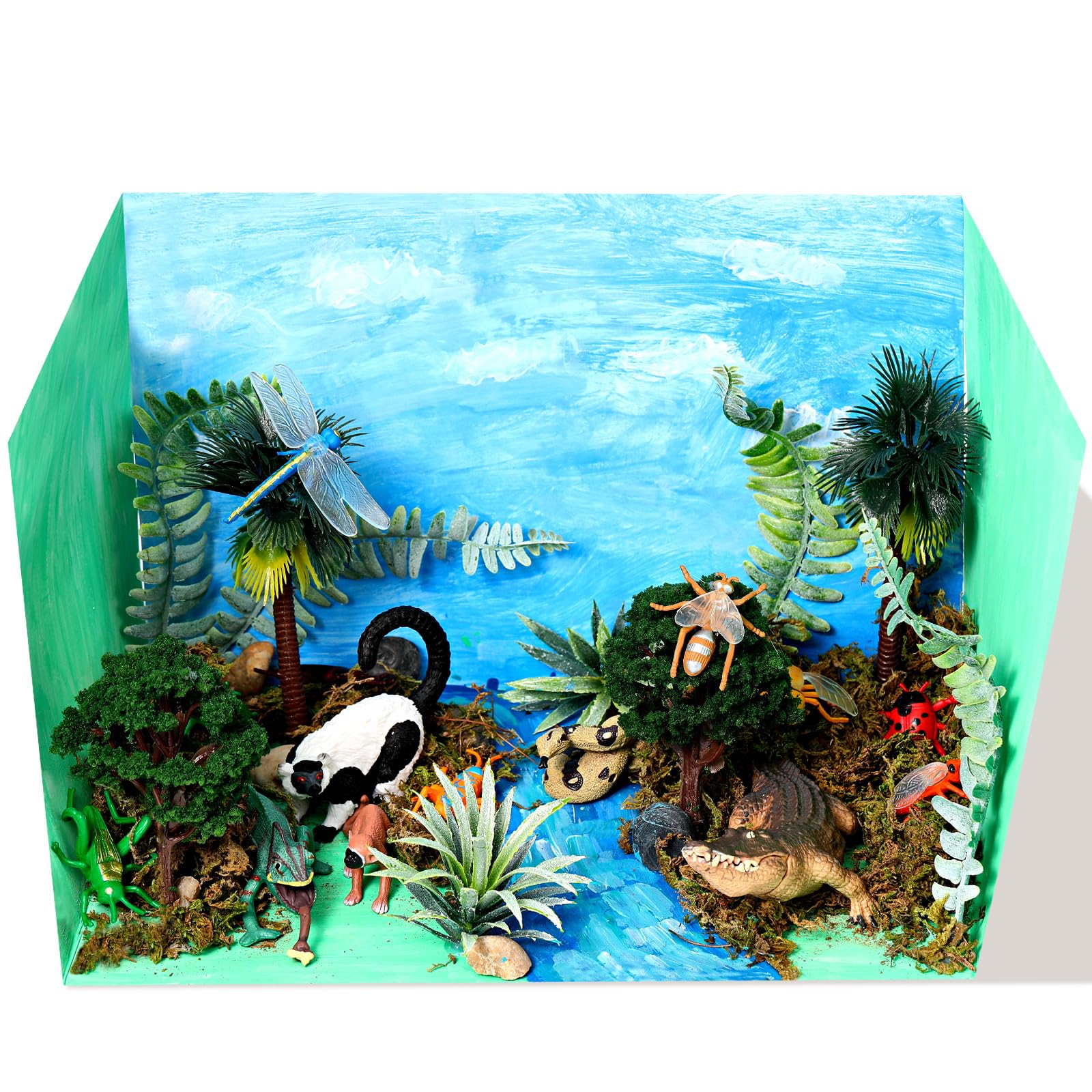 Rainforest Ecosystem Diorama