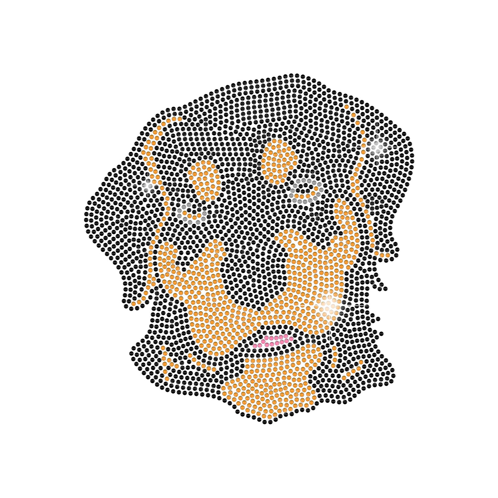 Amazon.com: SUPERDANT Dog Rottweiler Iron on Rhinestones Heat Transfer ...