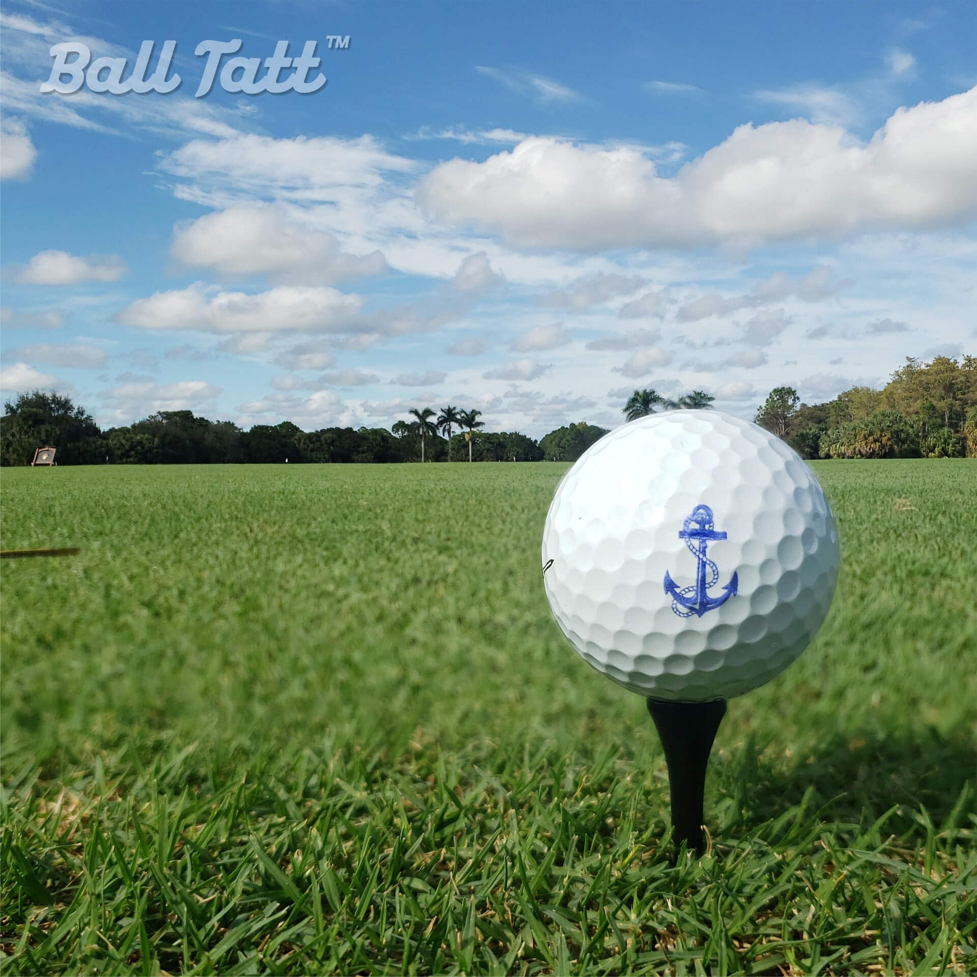 Snapklik.com : Anchor Golf Ball Stamp, Golf Ball Stamper, Self-Inking ...