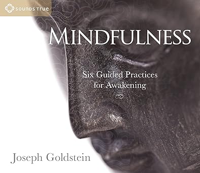 Amazon.com: Mindfulness: Six Guided Practices for Awakening ...