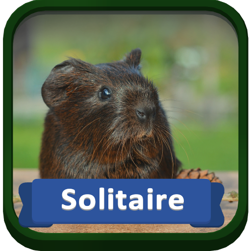 Solitaire Pets TV - App on Amazon Appstore