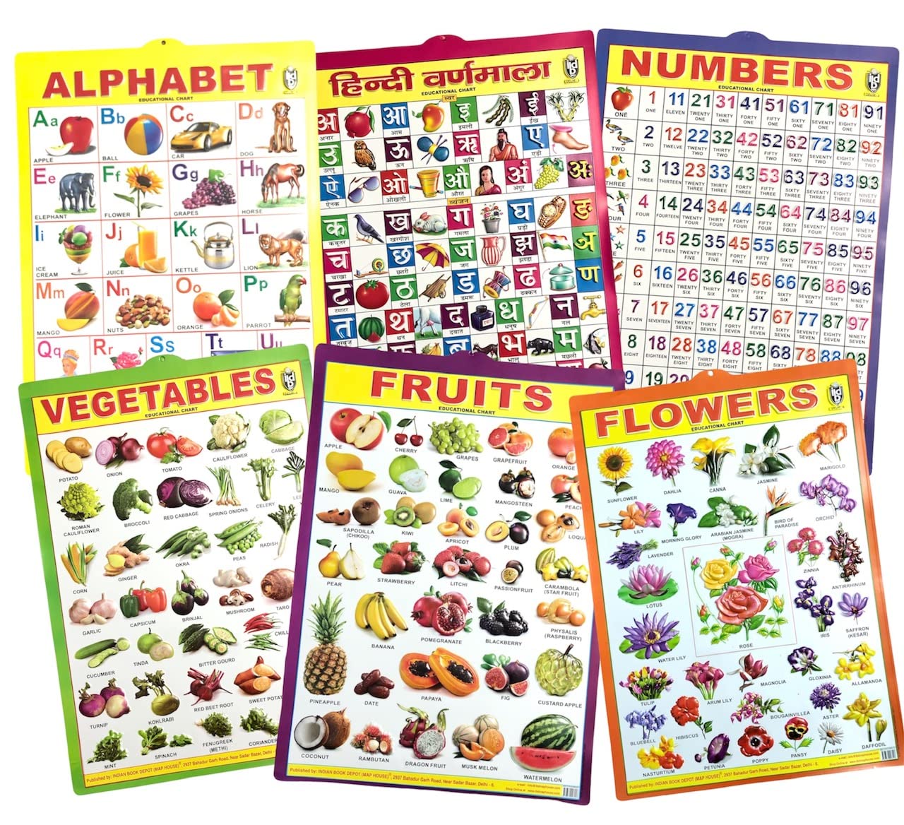 3d Learning Wall Charts For Kids Pack Of 6 Hindi | Desertcart Tunisia