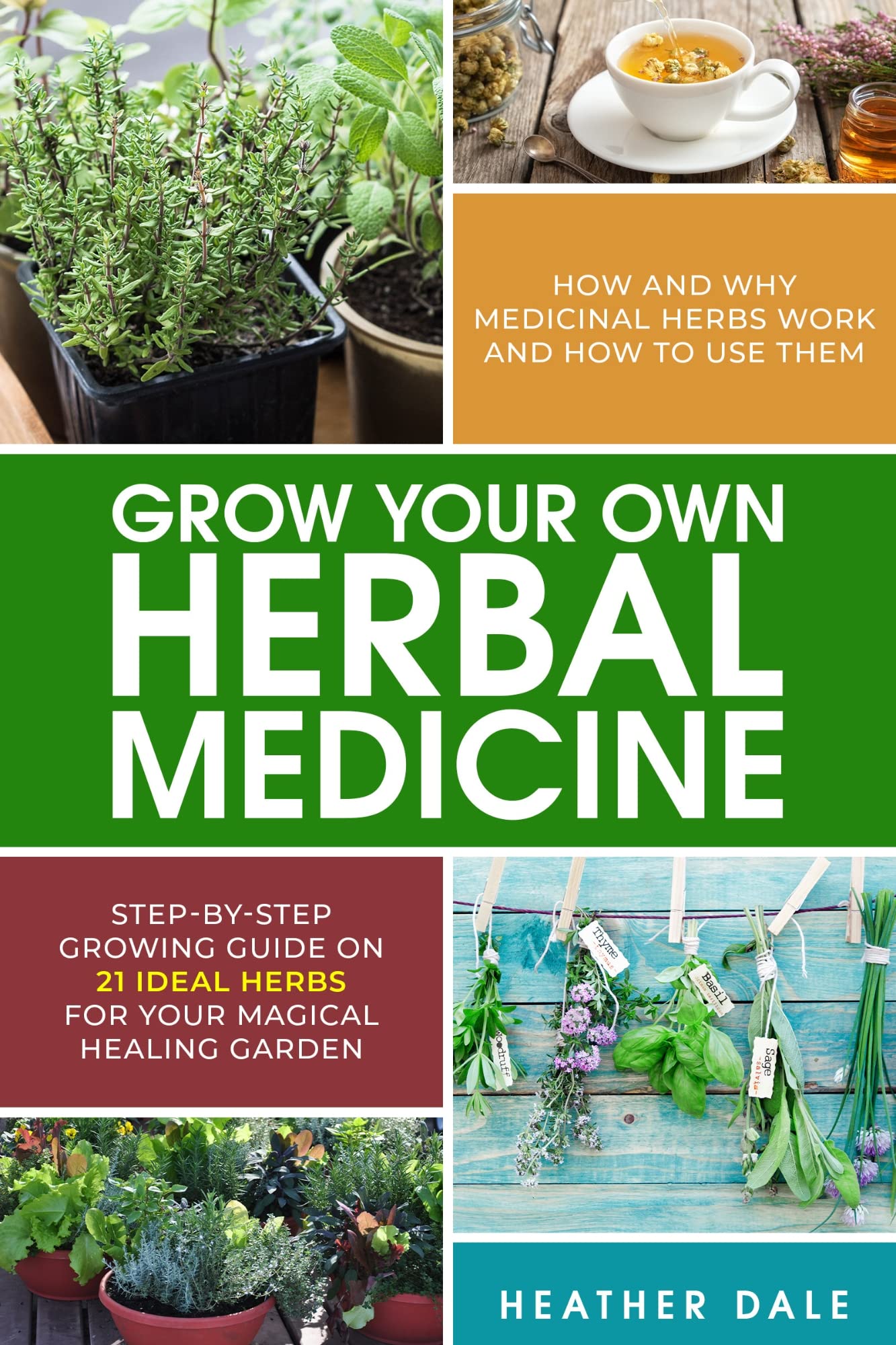 Buy Grow Your Own al Medicine: How and why medicinal s work and how to ...