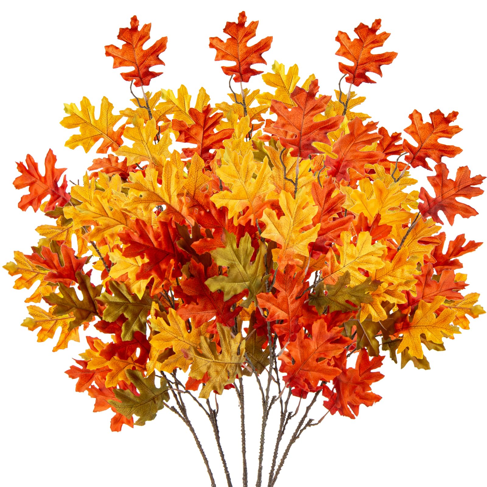 Falling Oak Leaf Leaf Of Oak Falling From The Tree Hi Res Stock