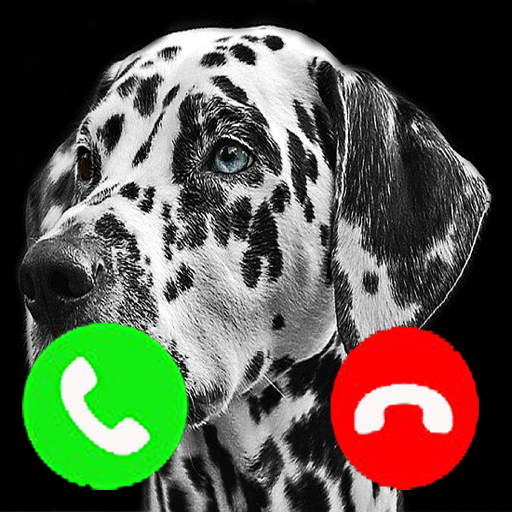 Dalmatian Fake Call Prank ( Funny Pet Calling Prank ) - Gag fake Prank ...