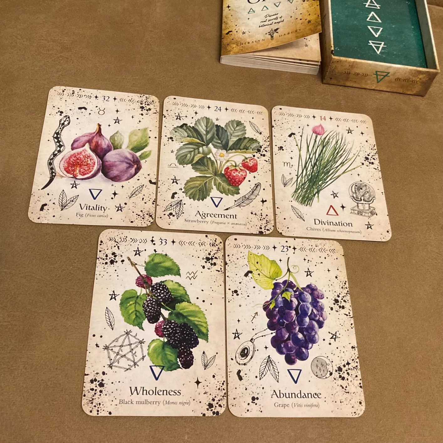 Amazon | Green Witch Oracle Cards: Discover real secrets of Botanical ...