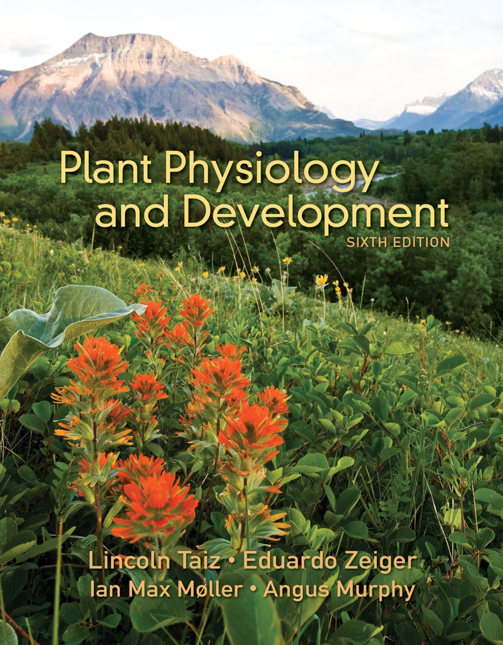 Amazon.com: Plant Physiology & Development: 9781605353531: Taiz ...