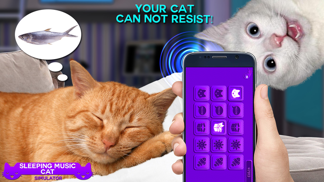 Sleeping Music Cat Simulator - App on Amazon Appstore
