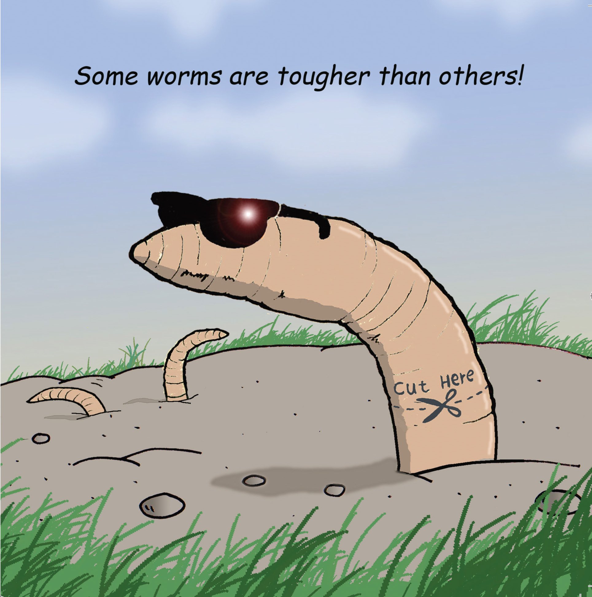 Buy Twizler Funny Card with a Tough Worm – Blank Card – Happy Birthday ...