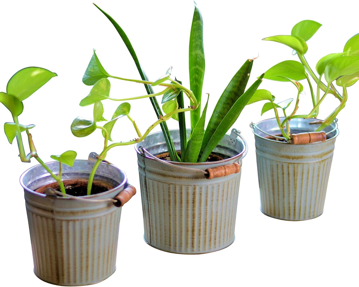 Amazon.com : French Country Pails, Set of 3, Decorative Bucket Cache ...