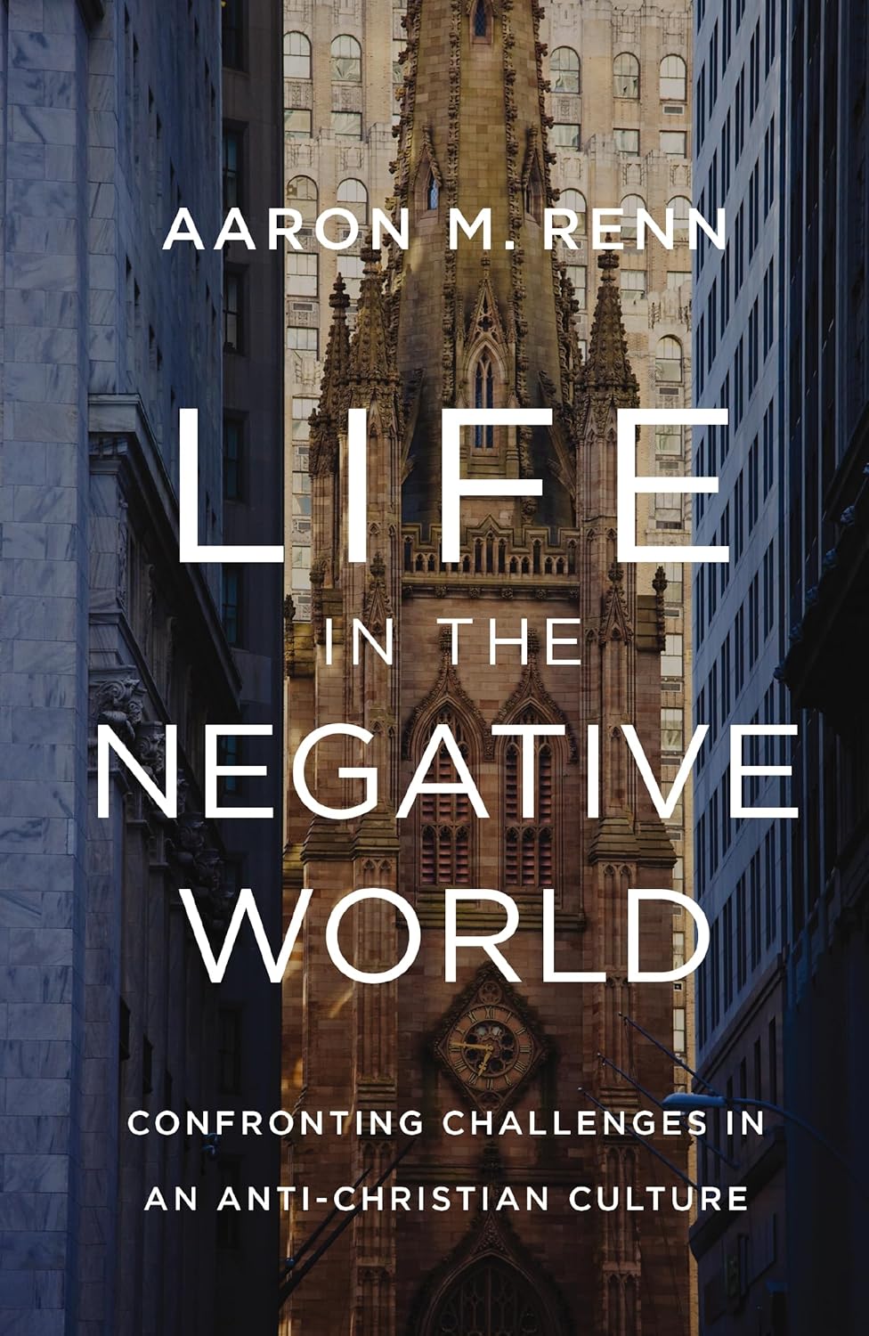 Life in the Negative World: Confronting Challenges in an Anti-Christian ...