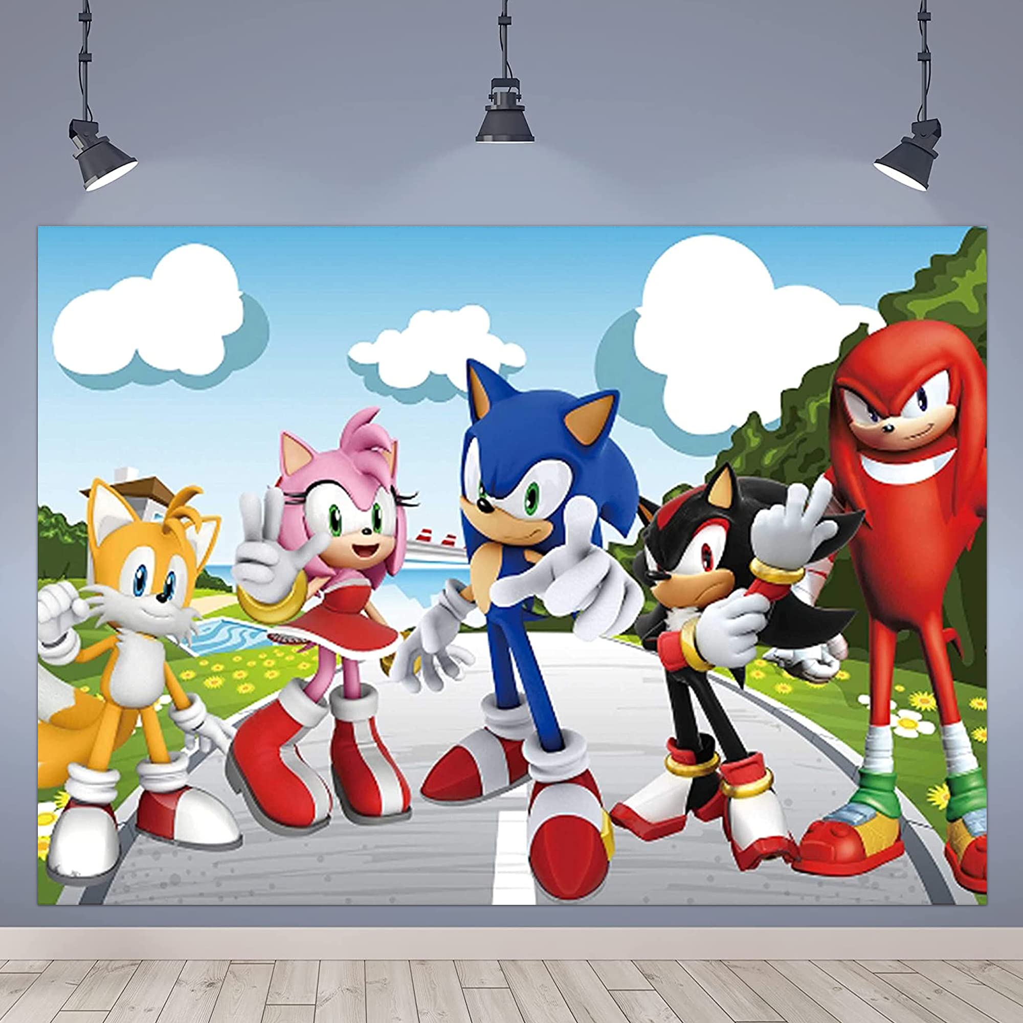 Buy 5x3 FT Sonic The Hedgehog Backdrop for Kids Sonic Birthday Banner ...