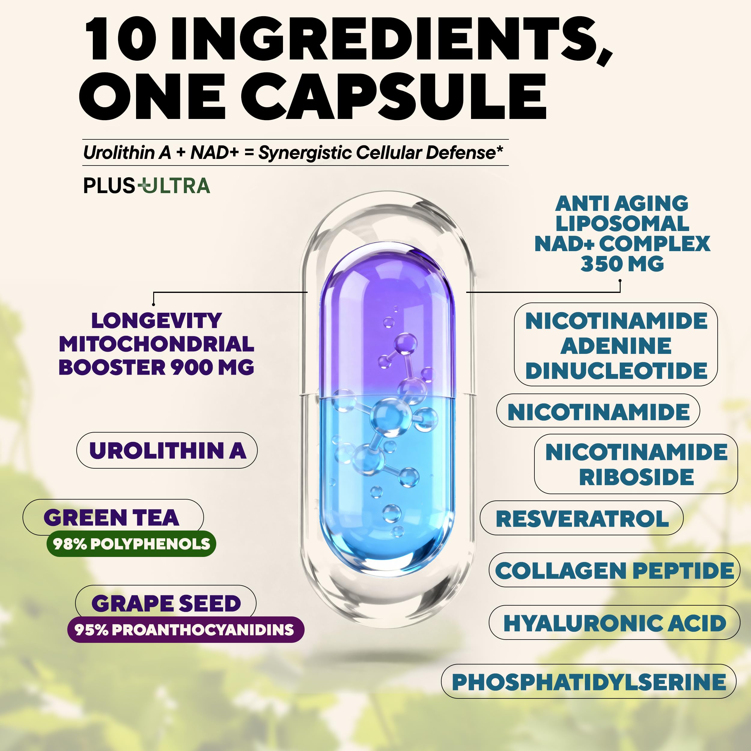 Snapklik.com : Plus+Ultra 10-in-1 UROLITHIN A 1250mg Liposomal ...
