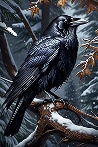 Amazon.com: Diamond Art Painting Kits for Adults - The American Crow ...