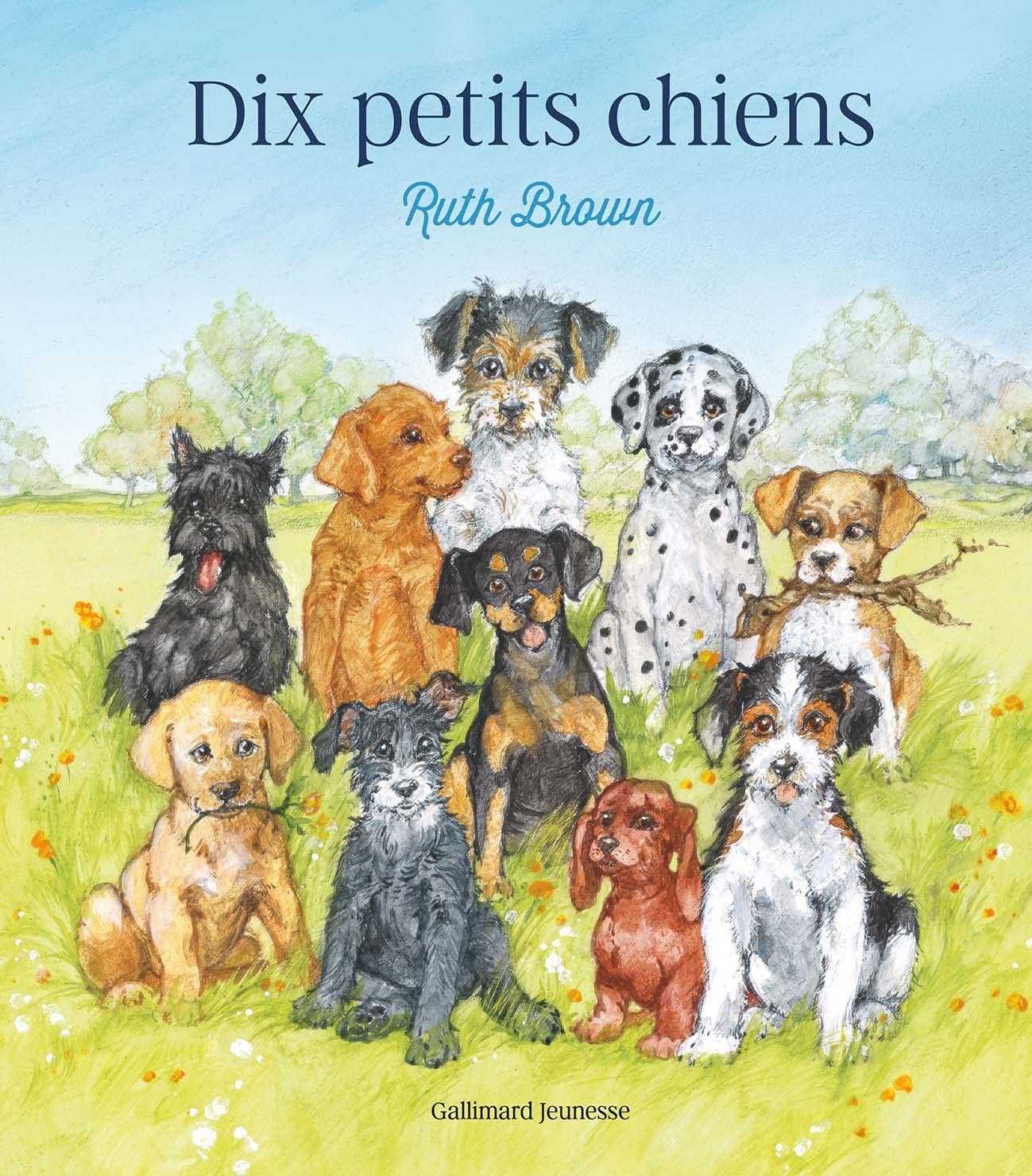 Groupe De Chiens Clipart Briard Clipart. Different Coat Colors And