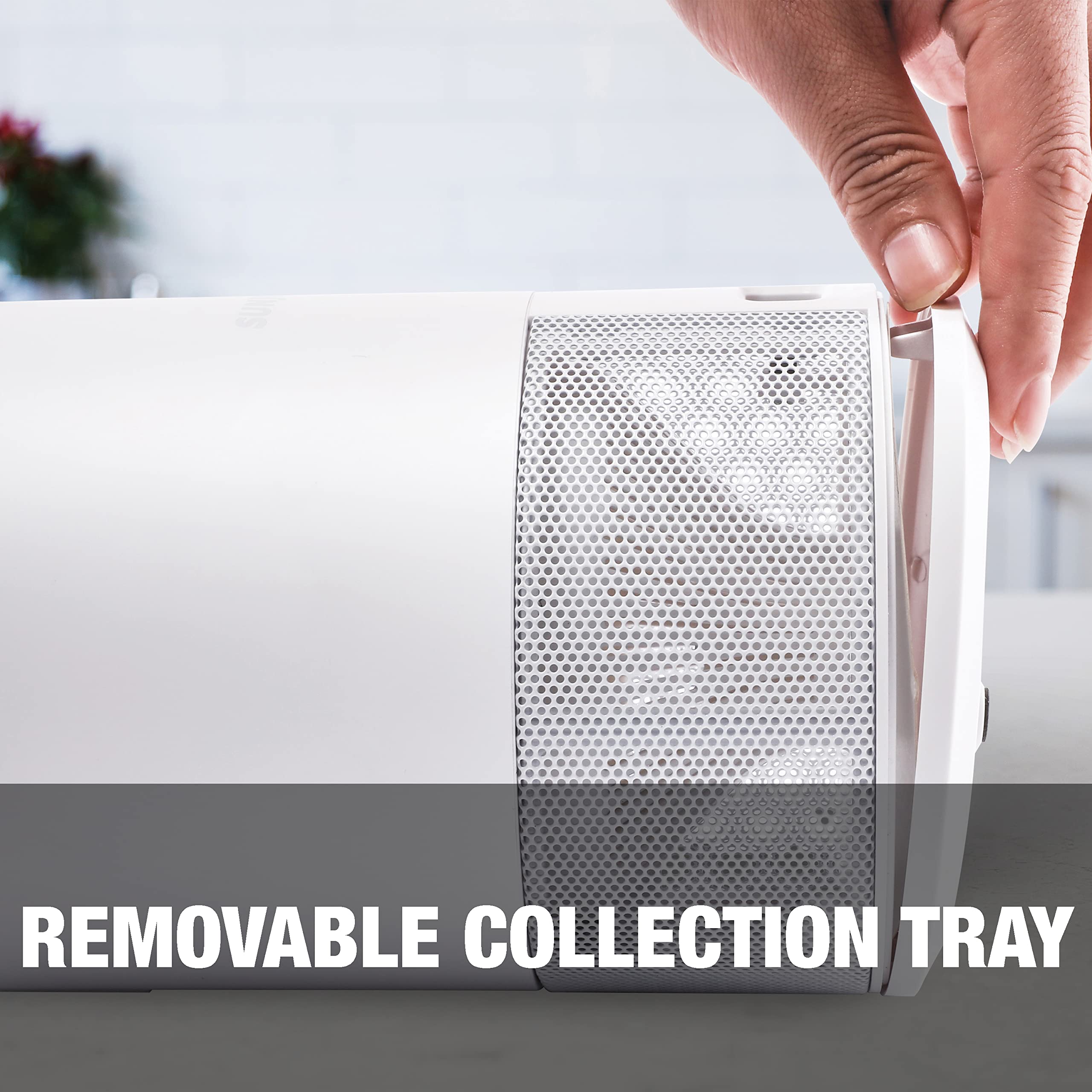 Sun Joe SJ-BZ15W-WHT UV Indoor Insect Fruit Fly Trap for Small Flying ...