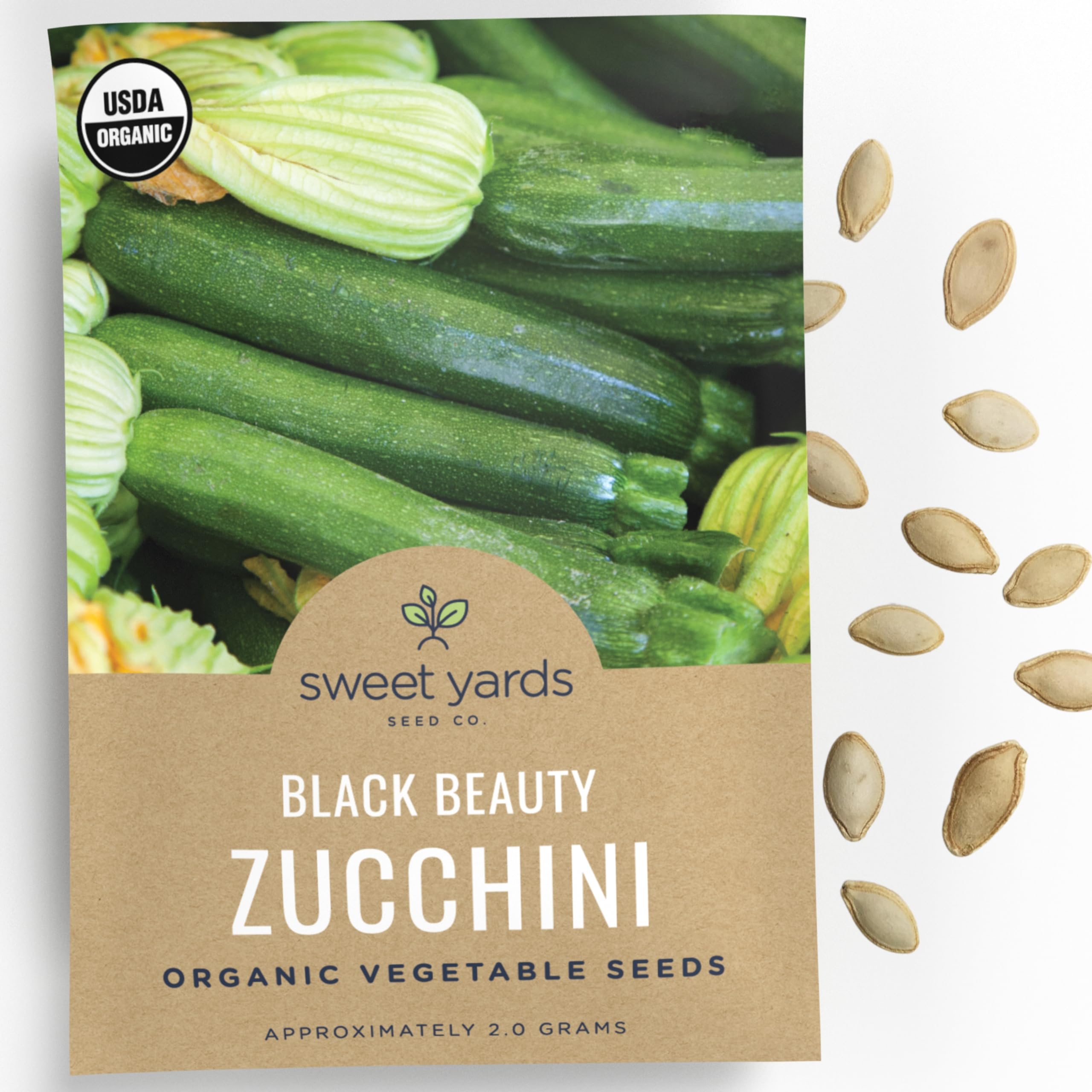 Amazon.com : Organic Green Zucchini Seeds ‘Black Beauty’ – Seed Packet ...