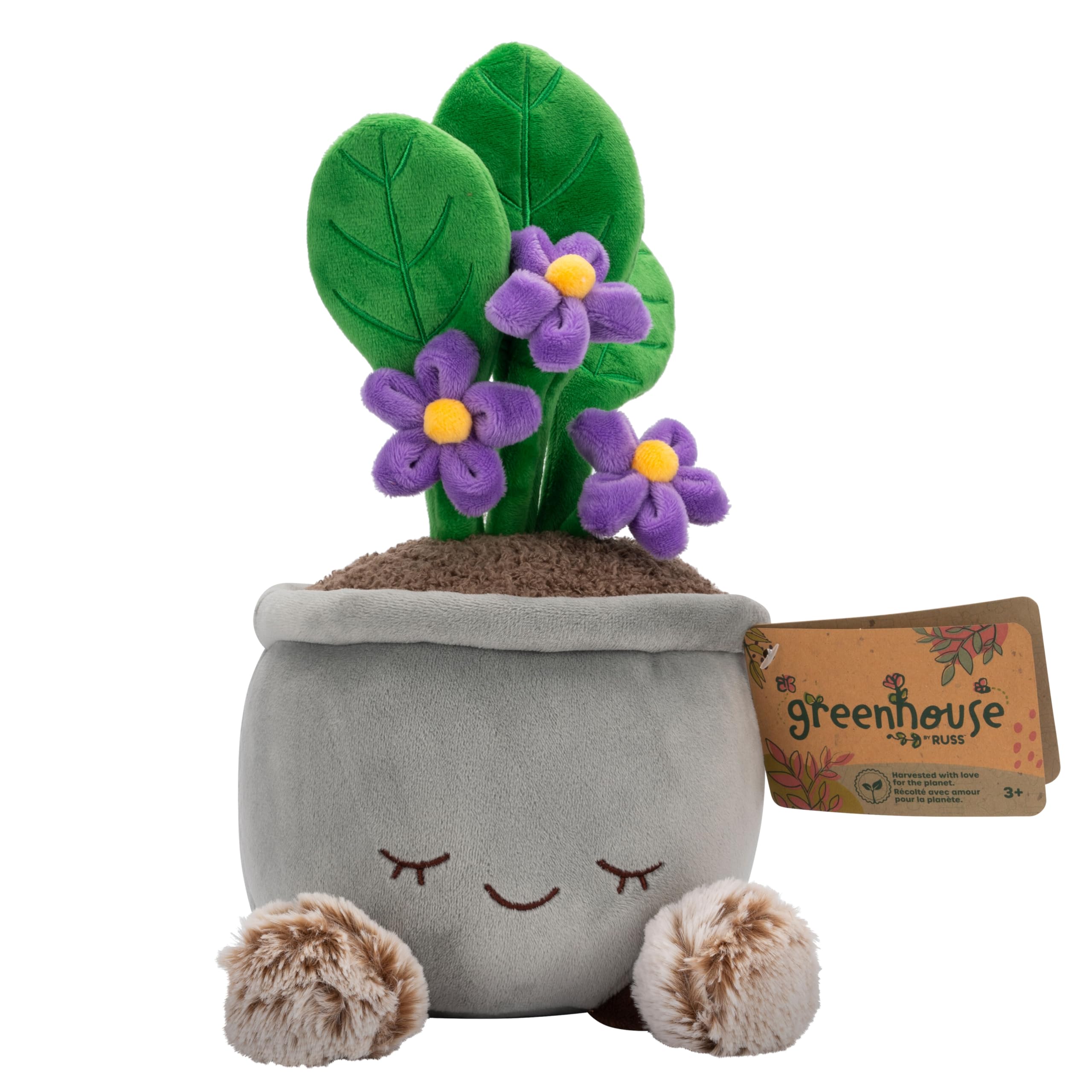 Greenhouse By Russ 12 Inch African Violet Plant Plush Ultrasoft ...