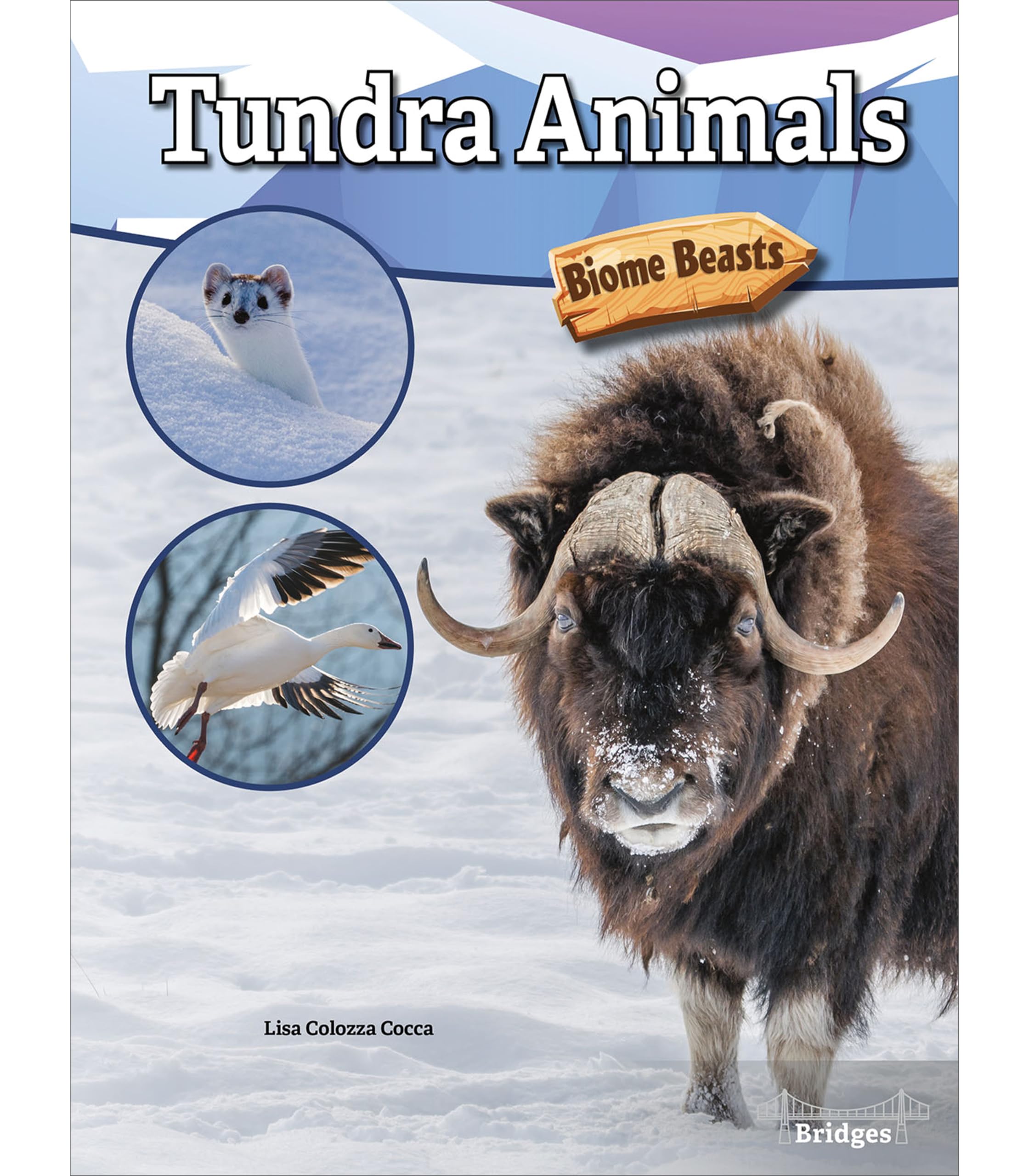 Rourke Educational Media Tundra Animals, Guided Reading Level O Reader ...
