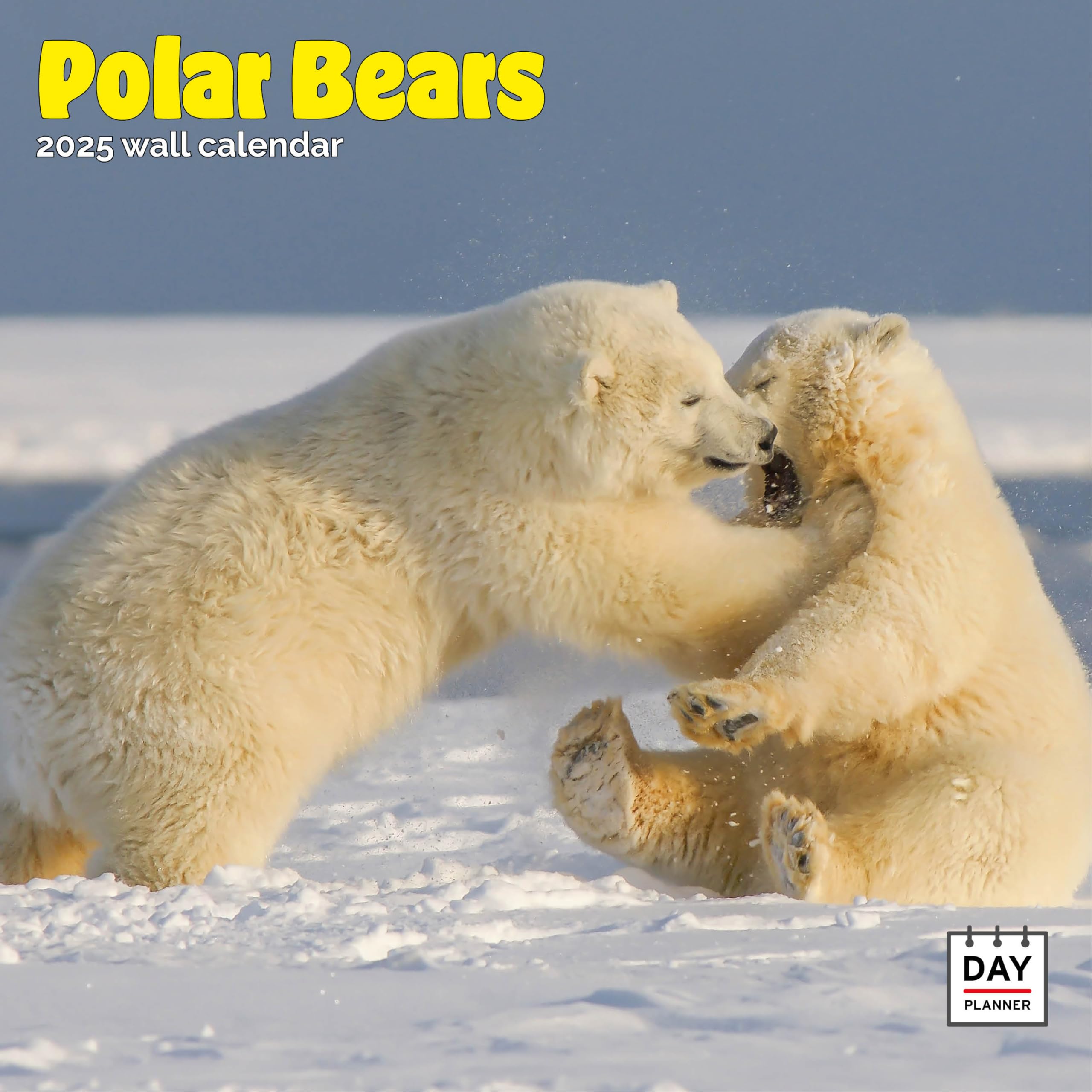 Dayplanner Publishing Polar Bears Calendar 2025, Large Square Wall ...