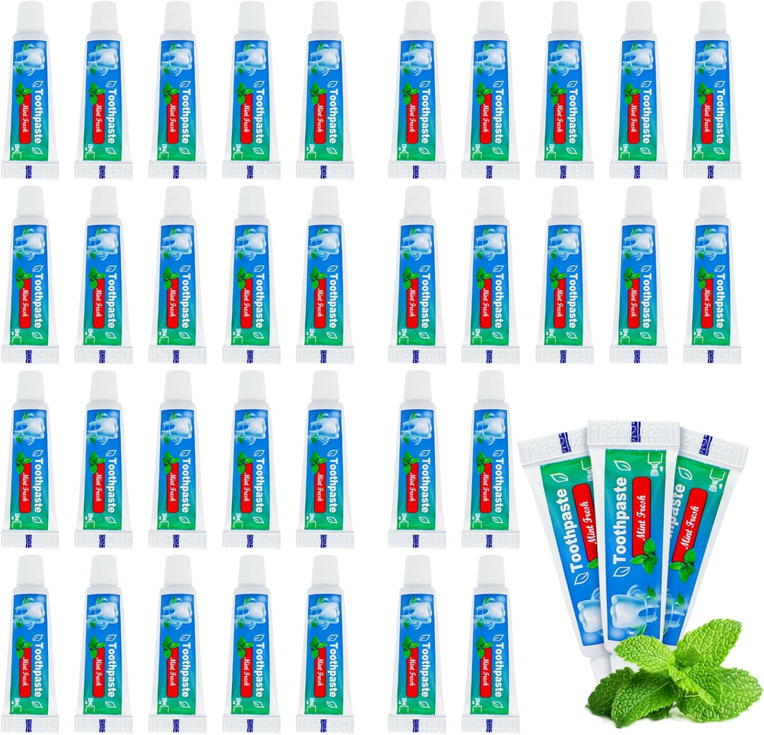 Amazon.com: 0.176 oz Bulk Travel Size Toothpaste,300 Tubes 5 Grams ...