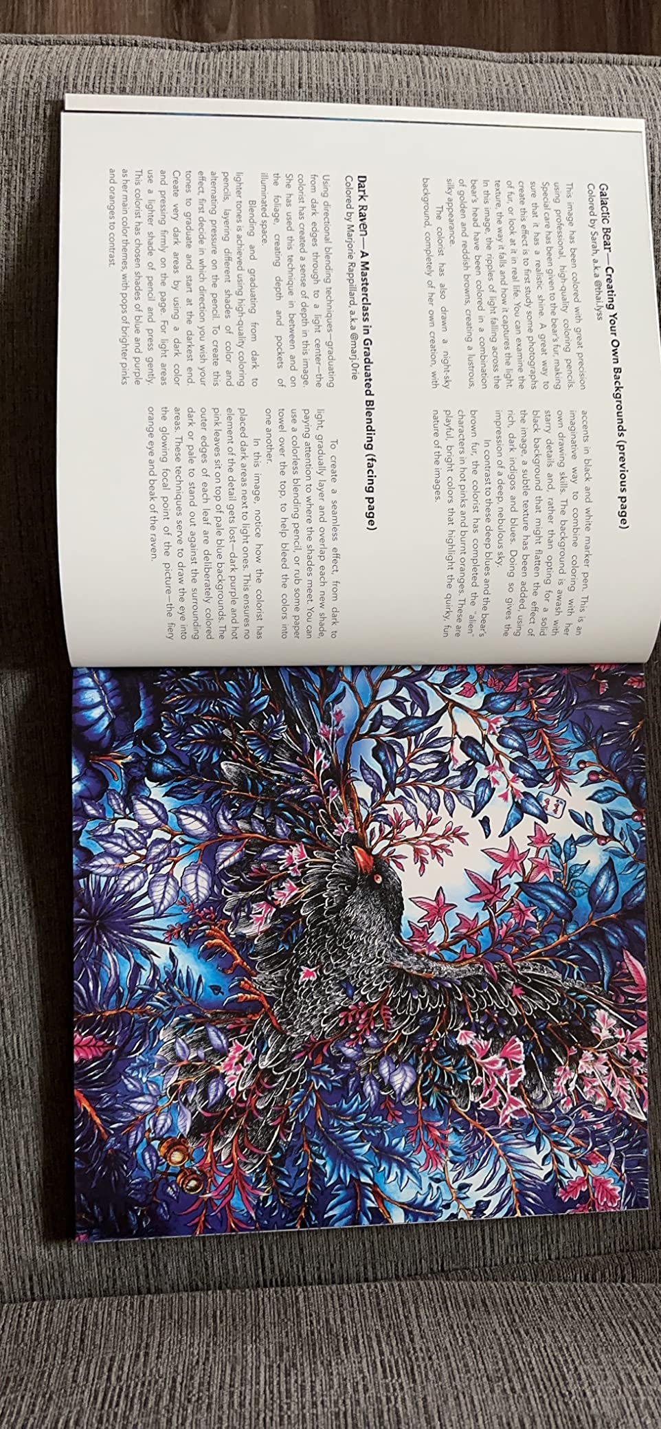 $2/mo - Finance Colormorphia: Celebrating Kerby Rosanes's Coloring ...