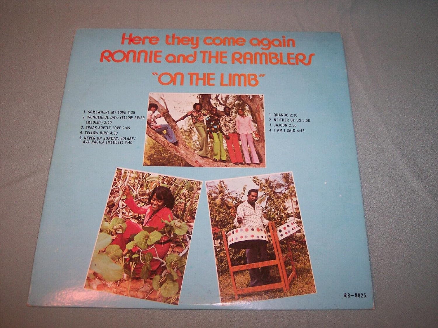 Amazon.com: Ronnie & The Ramblers On The Limb vinyl record: CDs & Vinyl