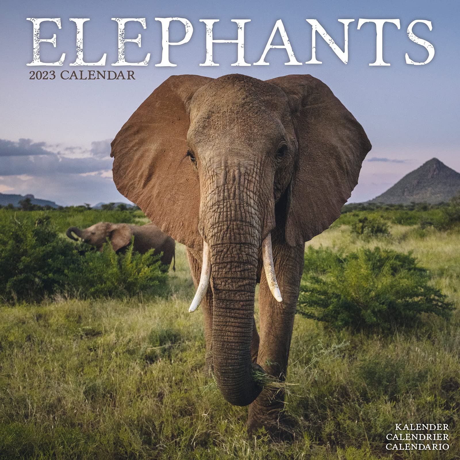 Elephant Calendar - Calendars 2022 - 2023 Wall Calendars - Animal ...